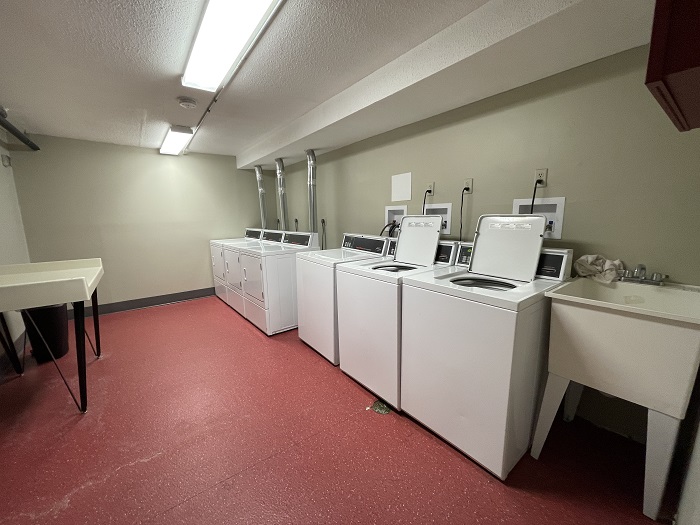 Apartment laundry room Ideas for a more pleasurable experience